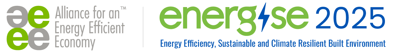 Energise India – Energy Innovation for a Sustainable Economy